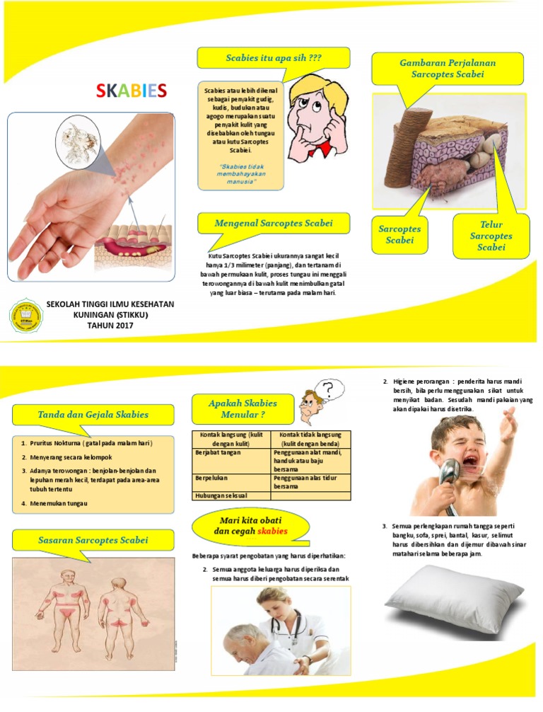 Leaflet Skabies | PDF