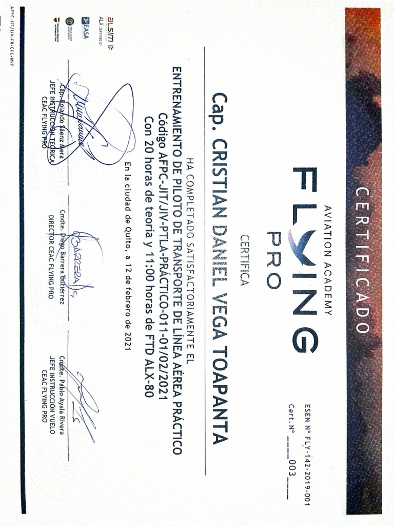 Curso Practico Ptla | PDF