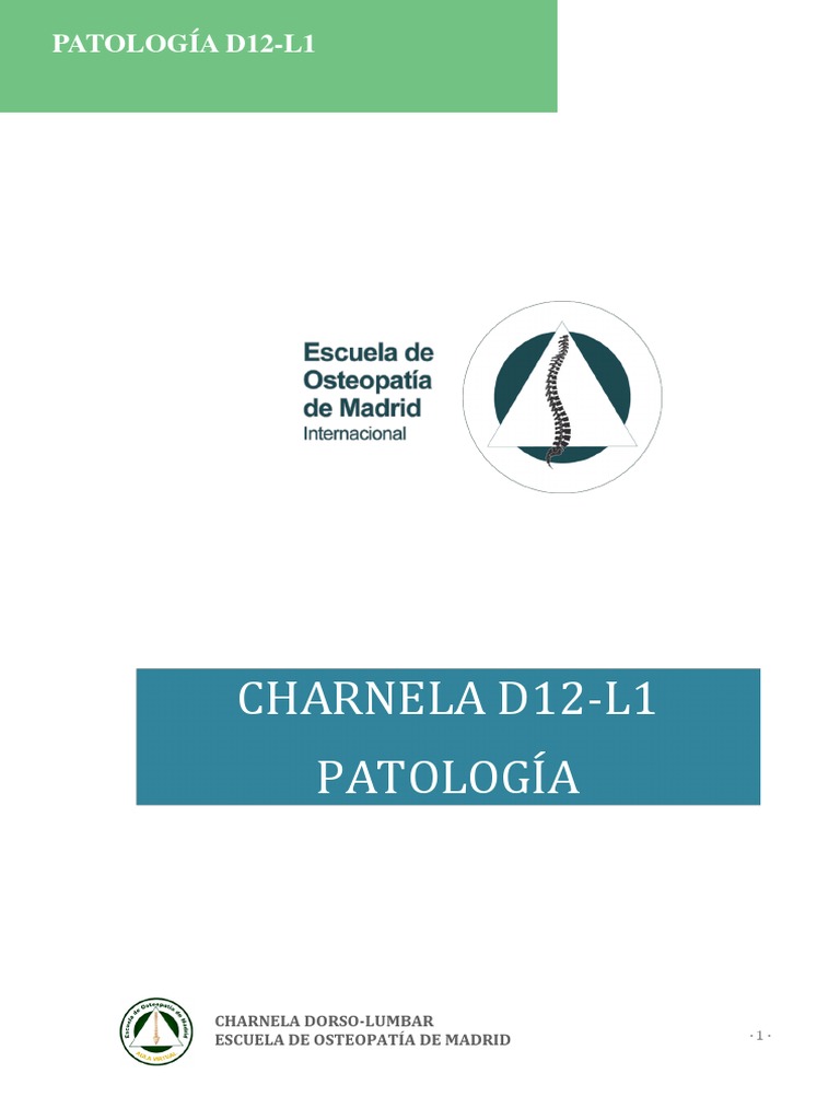 Diagnostico Diferencial d12 l1 | PDF | Abdomen | Anatomía