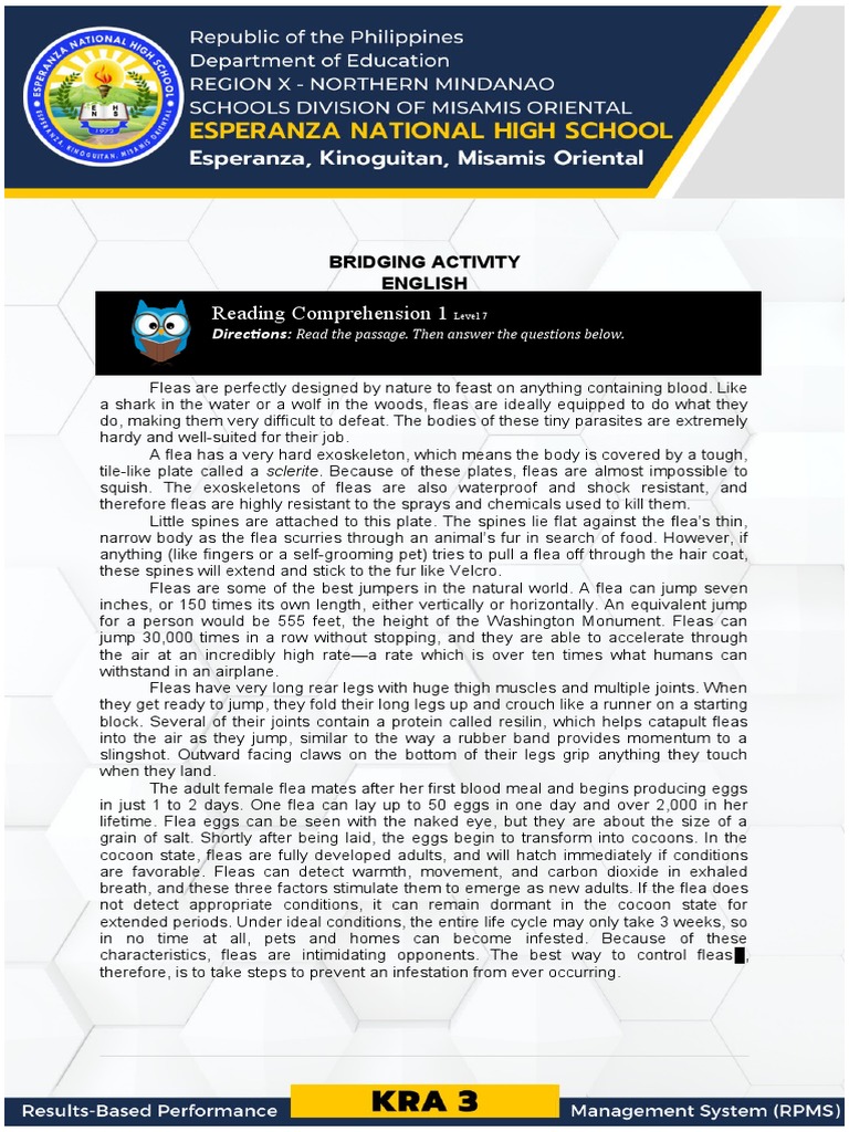 Bridging Activity | PDF