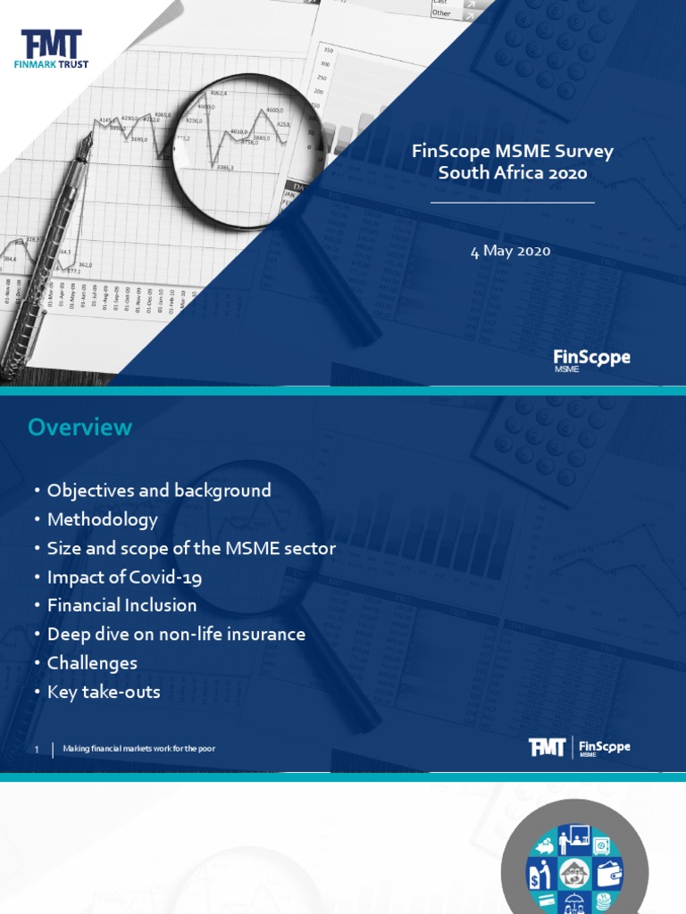 Fin Scope MSMESurvey | PDF | Sampling (Statistics) | Small And Medium Sized Enterprises
