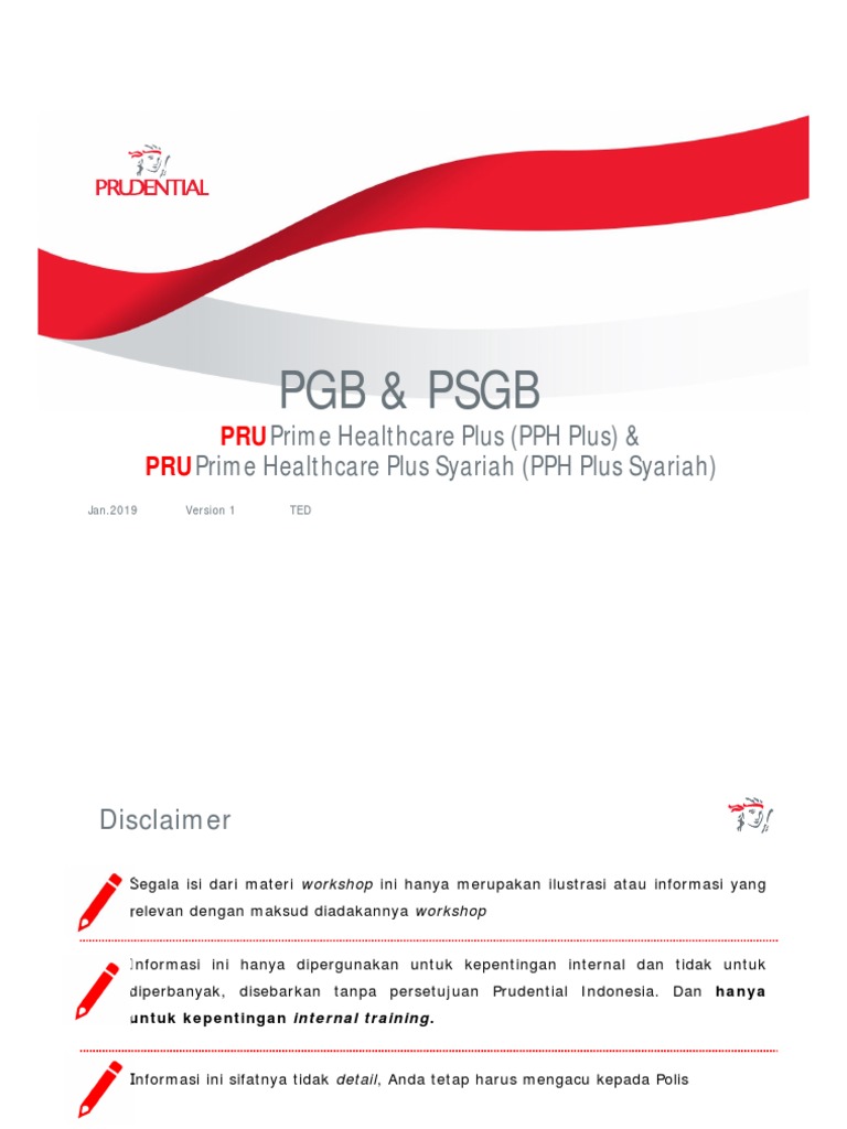 Salin-Pph Plus Slide | PDF
