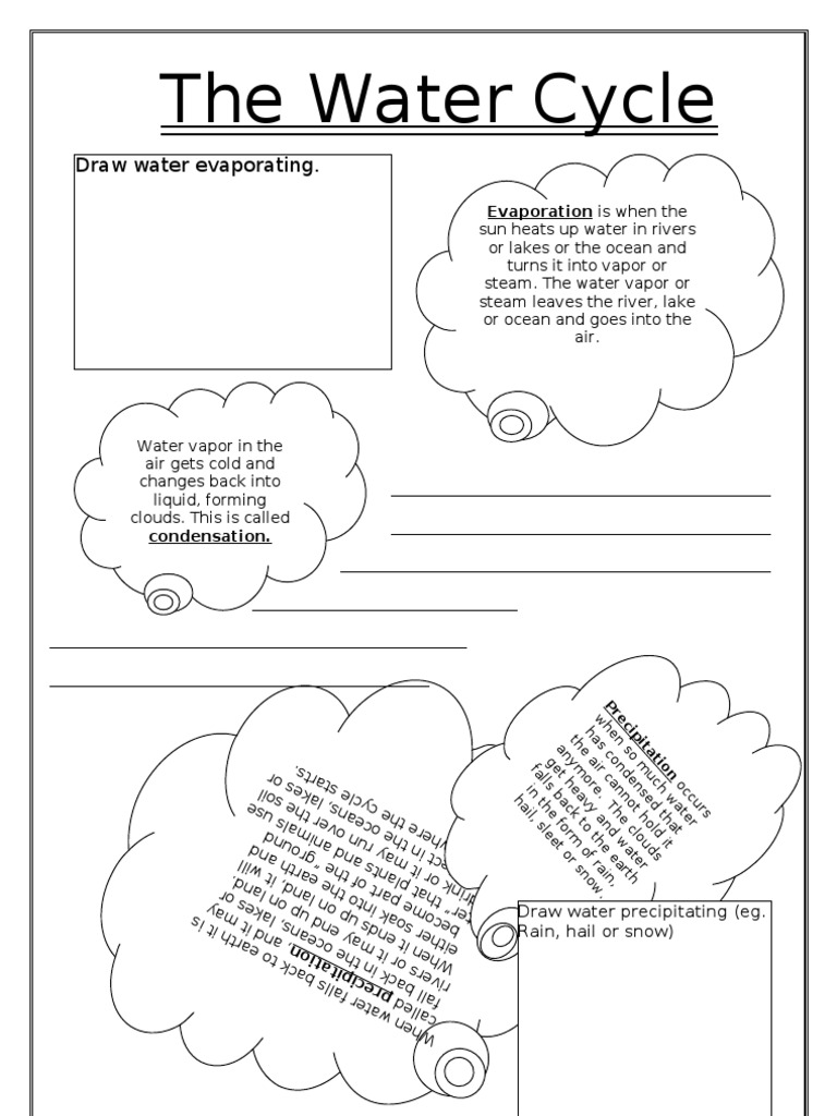 Understanding the Water Cycle | PDF