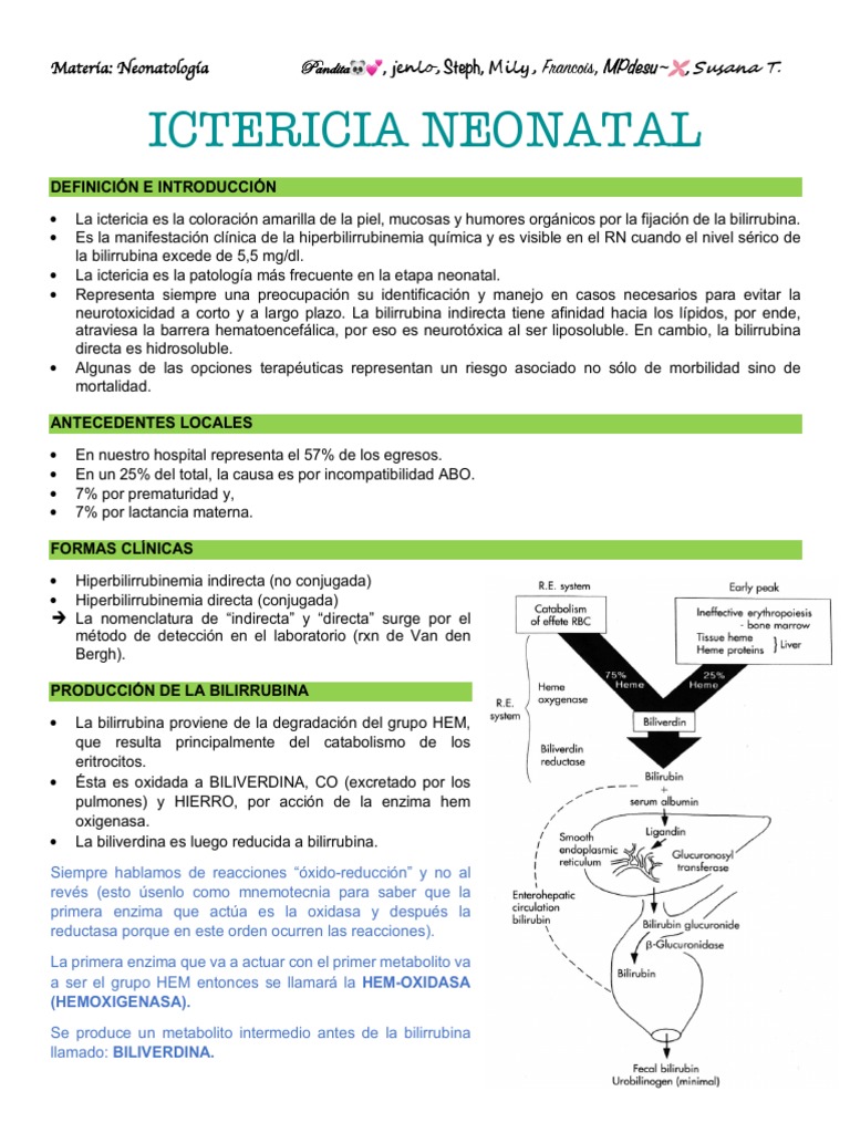Ictericia Neonatal | PDF | Especialidades Medicas | Medicina CLINICA