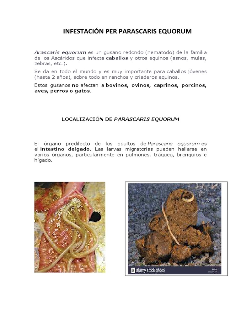 Parascaris Equorum | PDF | Bienestar