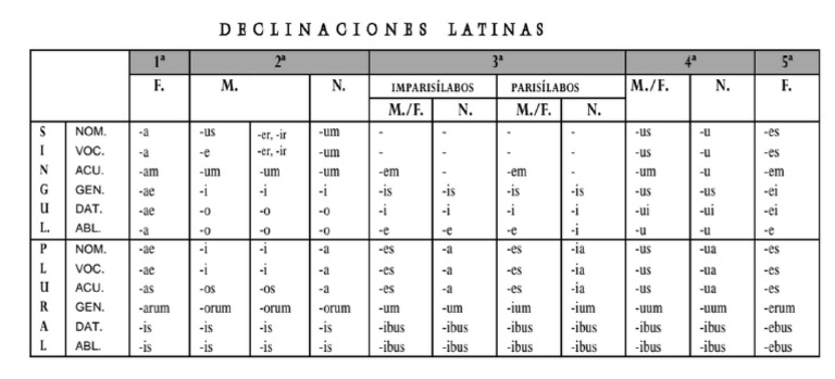 Esquema Declinaciones en Latín | PDF