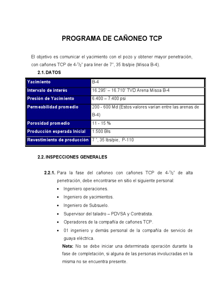PROGRAMA DE CAÑONEO TCP | PDF | Equipo | Bienes manufacturados