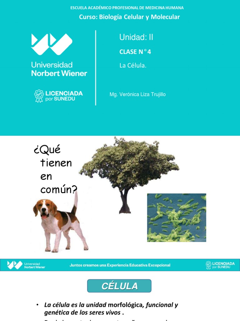 SEMANA 4 LA CÉLULA | PDF | Biología Celular) | Membrana celular