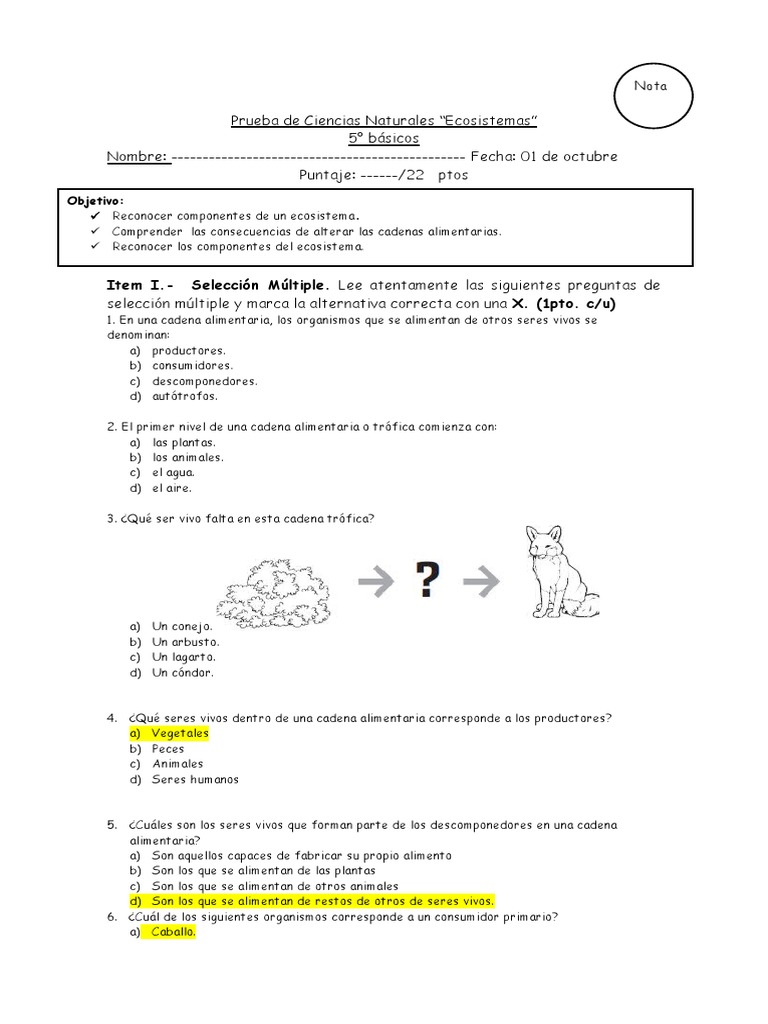 Prueba de Ciencias Naturales: Ecosistemas | PDF | Red alimentaria ...