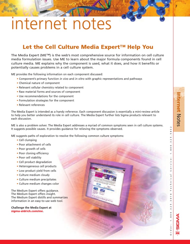 Internet Notes | PDF