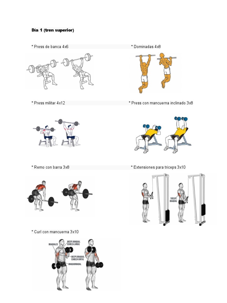 Rutina Ejericio A.S | PDF