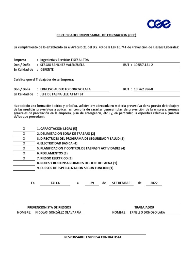 CEF Dinámico | PDF