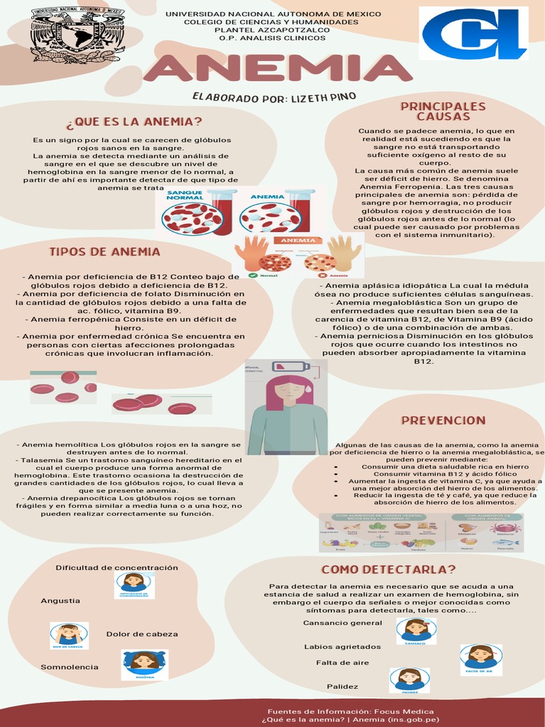 Infografia Anemia | PDF | Anemia | Glóbulo rojo