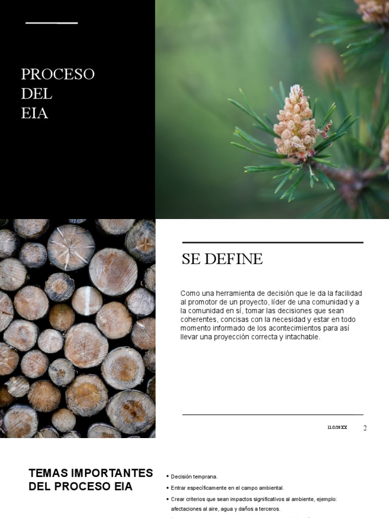 Proceso DEL EIA | Descargar gratis PDF | Evaluación de impacto ambiental | Entorno natural