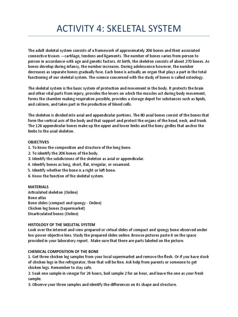 Anaphy Lab Activity 5 Skeletal System | PDF | Skeleton | Bone