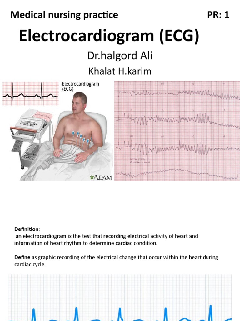 Adult Practic PR 1 | PDF | Art