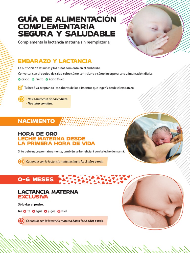 Guia Alimentacion Complementaria - Folleto A4 | PDF