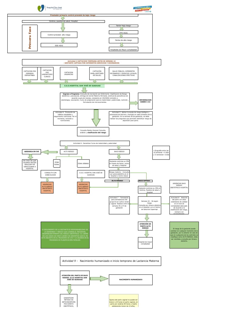 Flujograma Ruta Materno Perinatal | PDF | Hospital | Parto