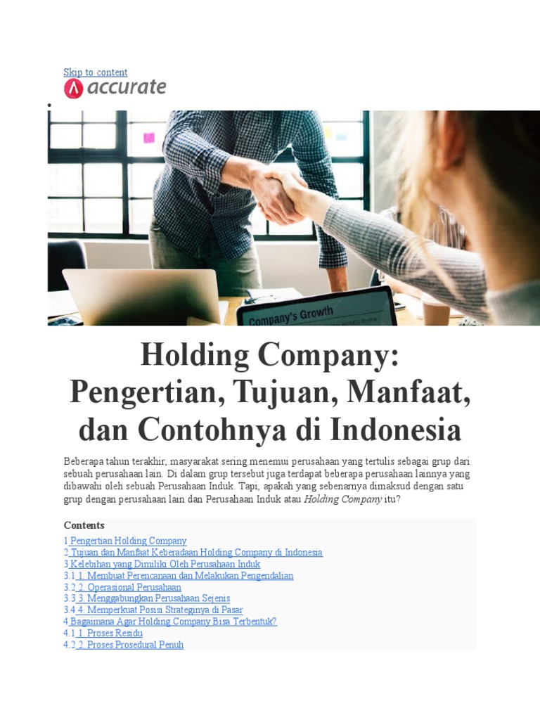 Holding Company | PDF