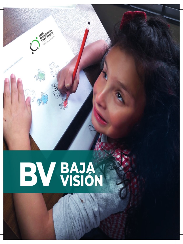 Guía de Manejo de Baja Visión Educativa | PDF