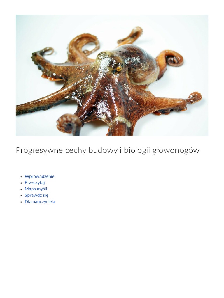 Progresywne Cechy Budowy I Biolo | PDF