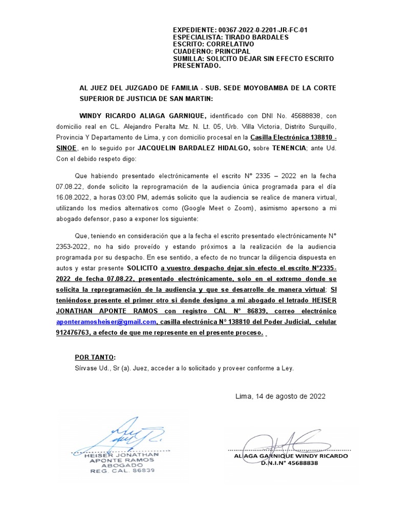 Solicito Dejar Sin Efecto Escrito | PDF