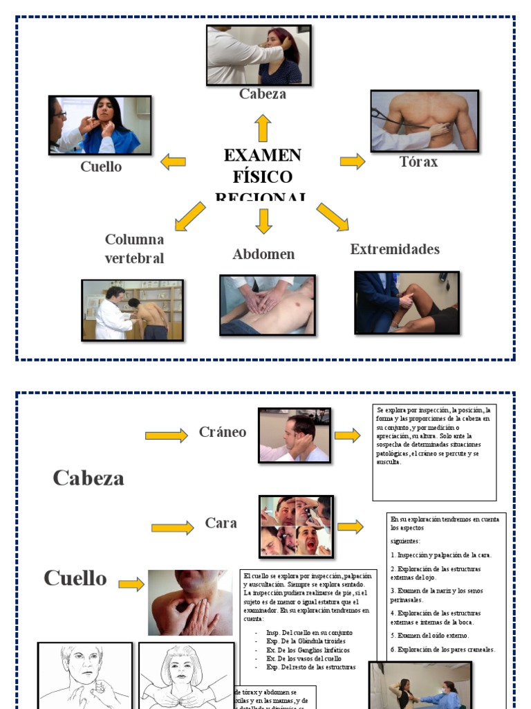 Mapa Mental Examen Fisico | PDF | Pecho | Abdomen