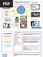 Mapa Mental Examen Fisico | PDF | Pecho | Abdomen