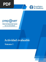 Actividad Evaluable Semana 3 Fisica | PDF