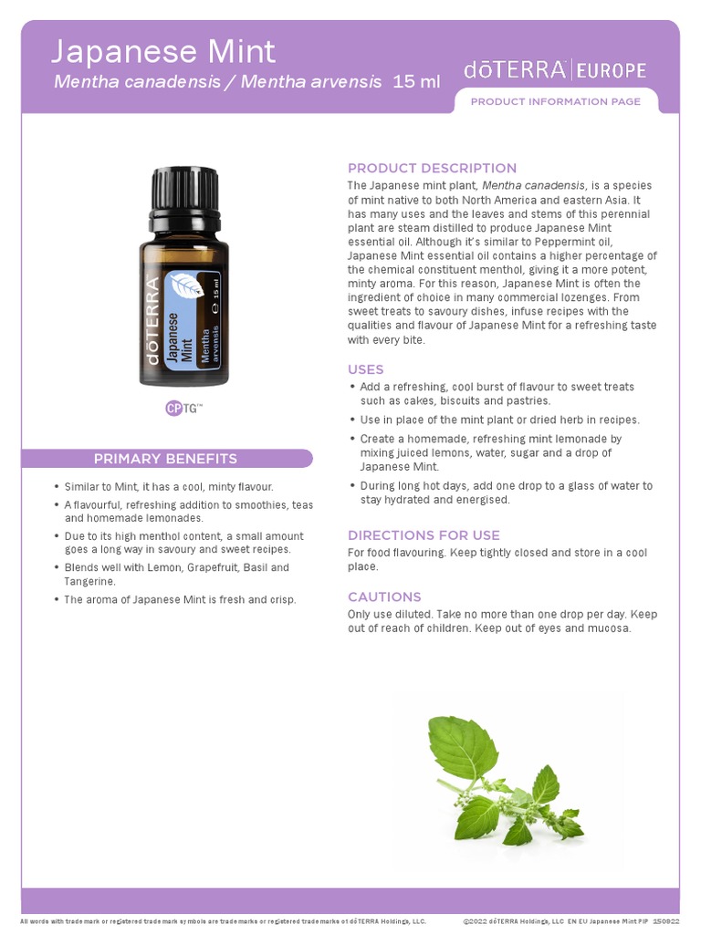 Japanese Mint Oil | PDF | Mentha | Foods