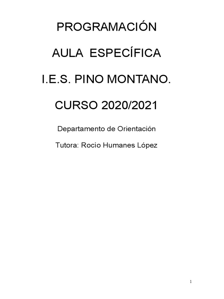 J - Progr - Aula e - e 2020-2021 | PDF | Evaluación | Plan de estudios