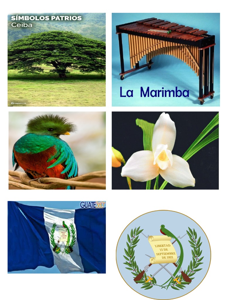 Simbolos Patrios de Guatemala | PDF