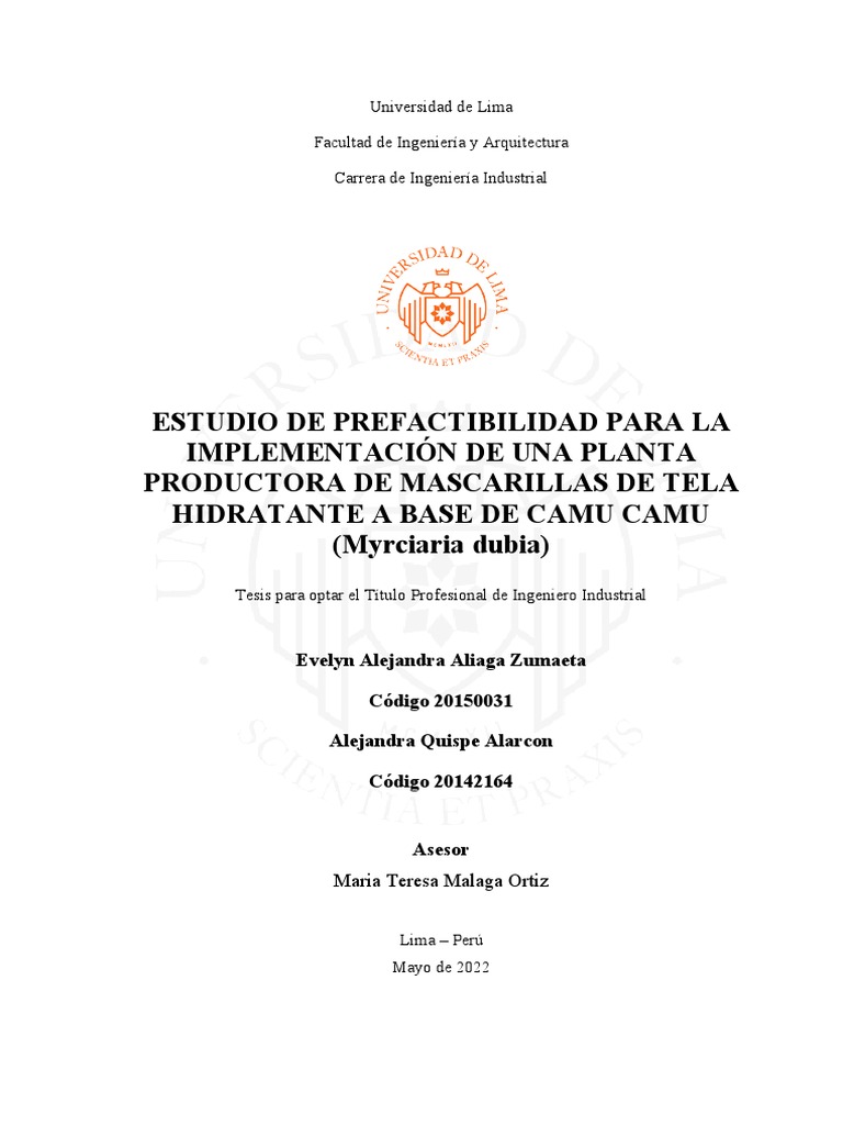 Aliaga Quispe Estudio Planta Mascarillas | PDF | Presupuesto | Mercado (economía)