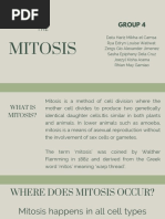 Mitosis Mover: Interactive Biology Game | PDF | Mitosis | Cell (Biology)