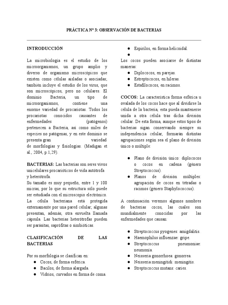 Informe #3 Observacion de Bacterias | PDF | Las bacterias | Tinción