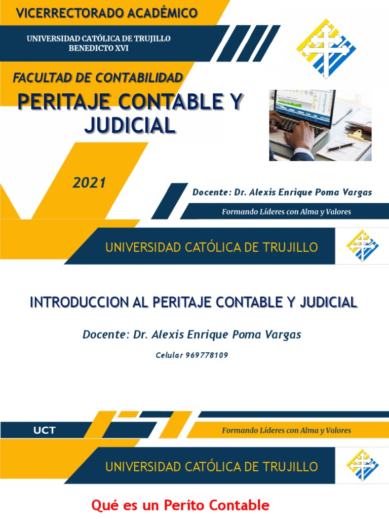 Sesion 1 Peritaje Contable y Judicial | PDF | Testigo experto ...