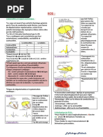 ERCF | PDF | Grossesse | Accouchement