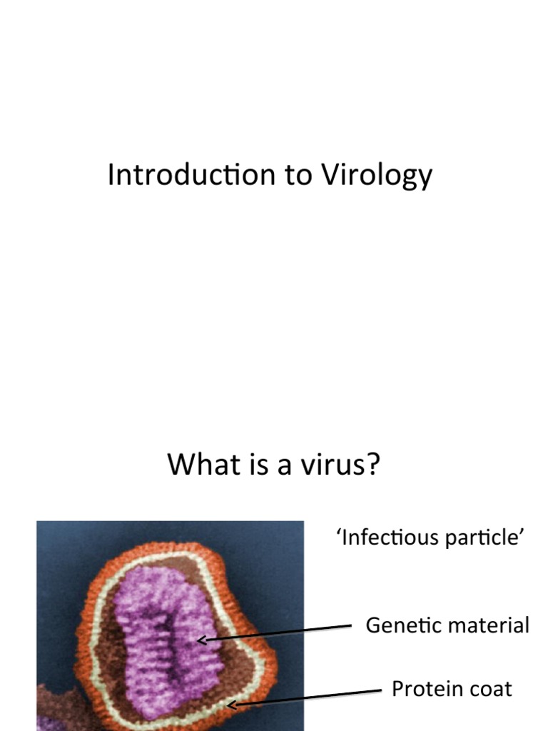 Introduction Virology 2021 | PDF | Virus | Rna