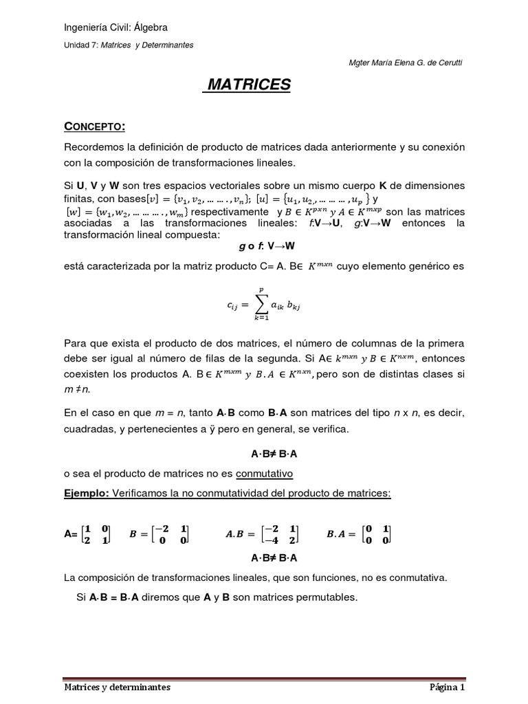 Álgebra de Matrices para Ingeniería Civil | PDF | Matriz (Matemáticas) | Determinante