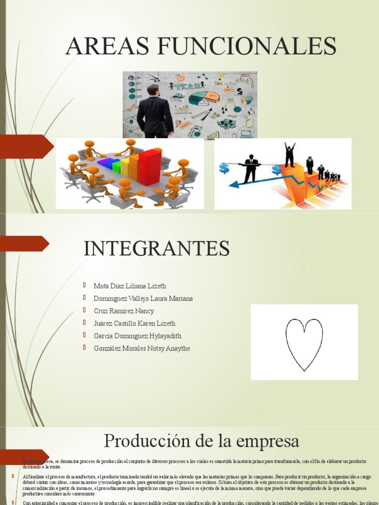Areas Funcionales | PDF | Planificación | Business