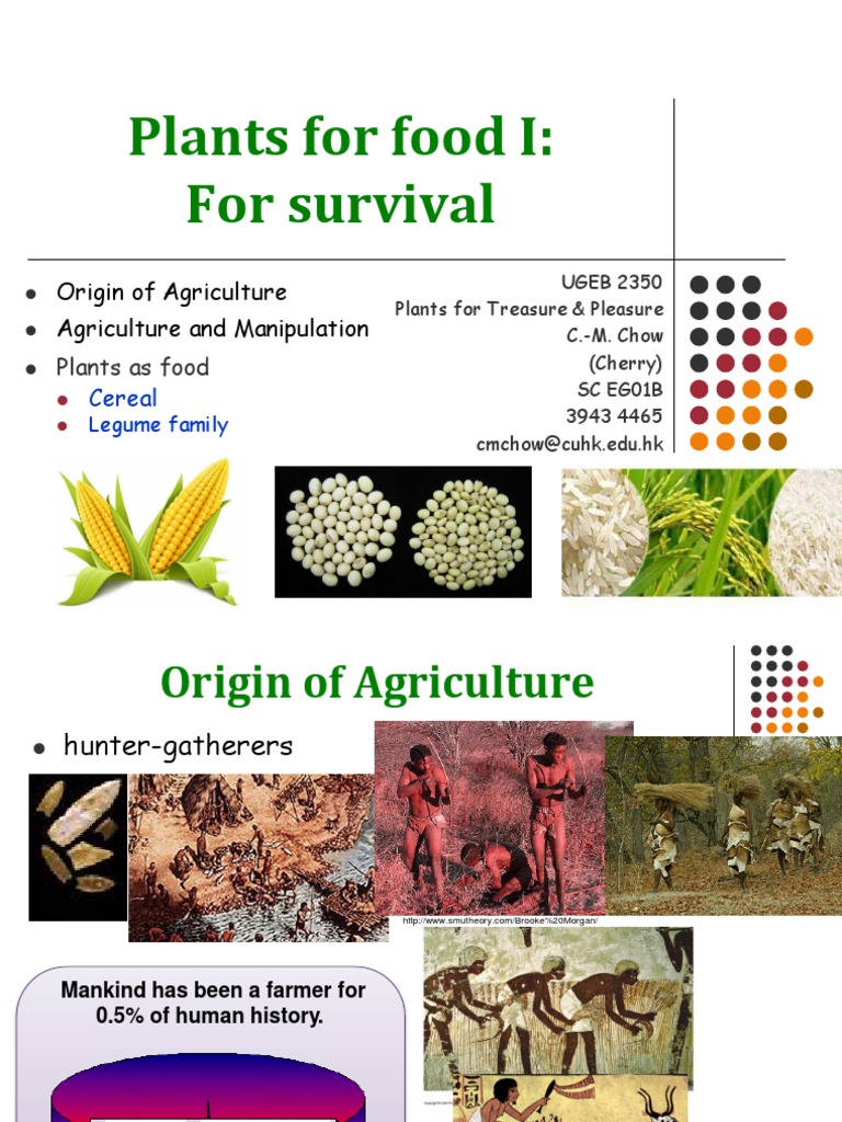 6 - Plants For Food I - SV - 202122S | PDF | Maize | Legume