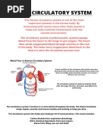 Blood Circulatory System | PDF | Blood | Circulatory System