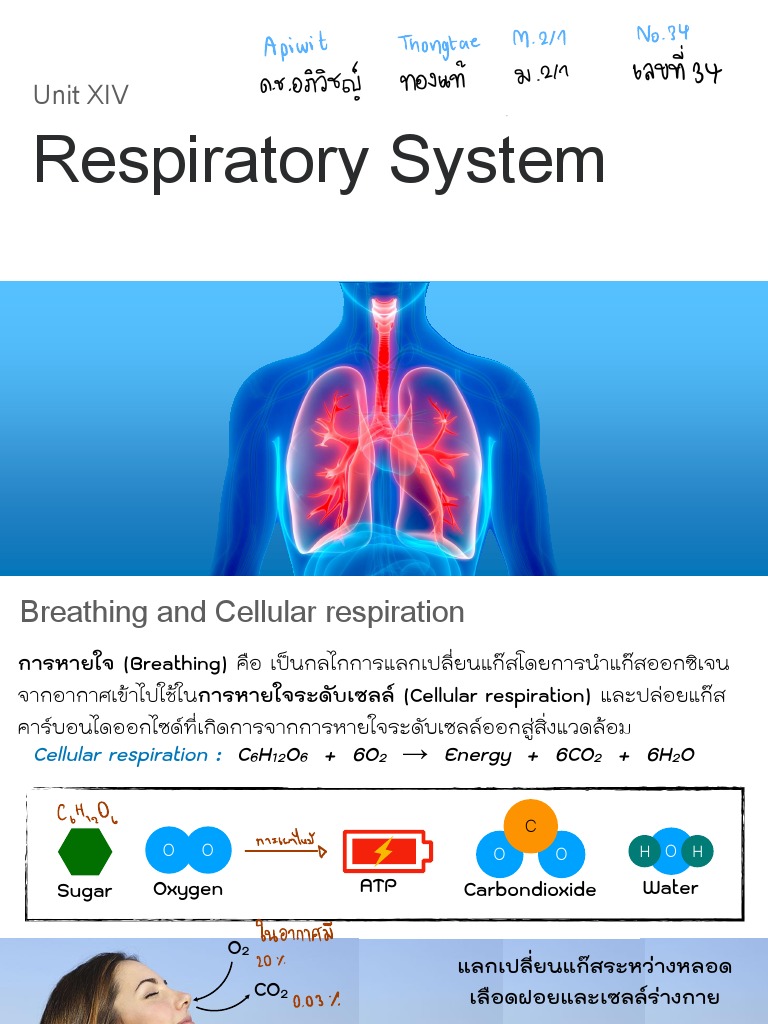Respiratory m2 | PDF