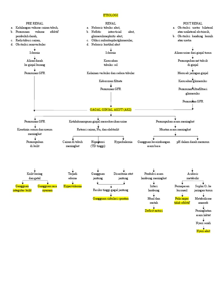 Woc Komplikasi Aki | PDF