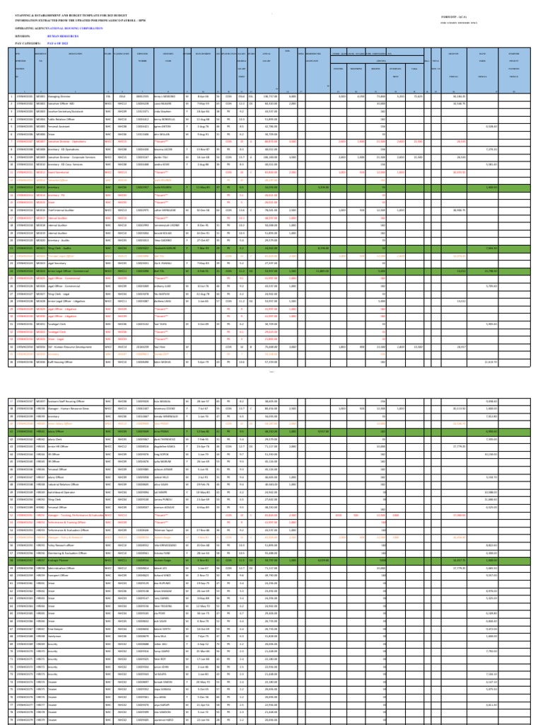 2023 Staffing and Budget Template | PDF | Business Economics | Economic ...