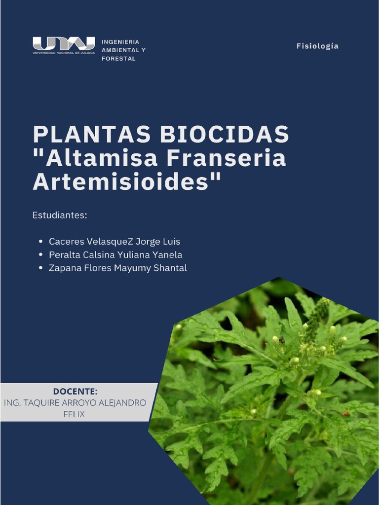 ALTAMISA Planta Biocida | PDF