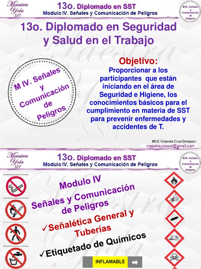 13o DSST M IV ETIQUETADO | PDF