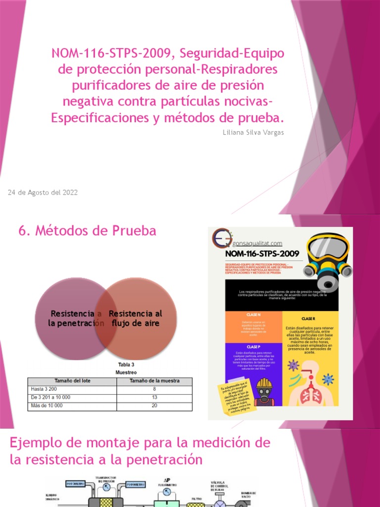 Especificaciones NOM-116-STPS-2009 | PDF | Aerosol | Química