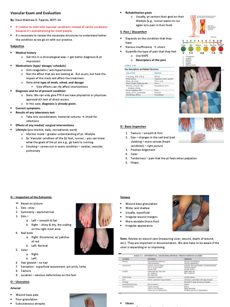 Vascular Exam Techniques and Evaluation | PDF | Pulse | Vein