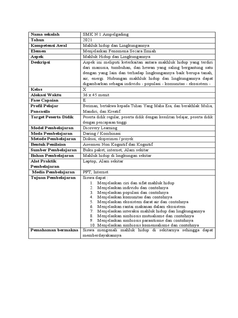 Modul Ipas CP 1 | PDF